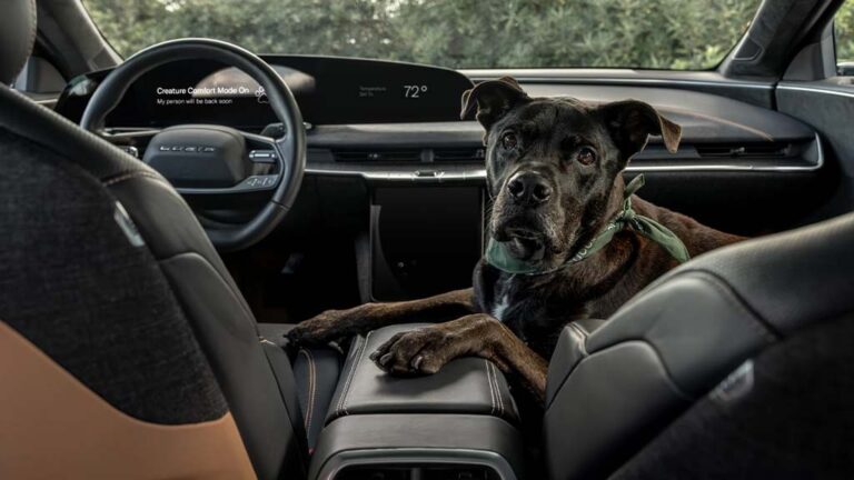 Lucid Air gets 'Creature Comfort Mode' feature update - EONMSK News